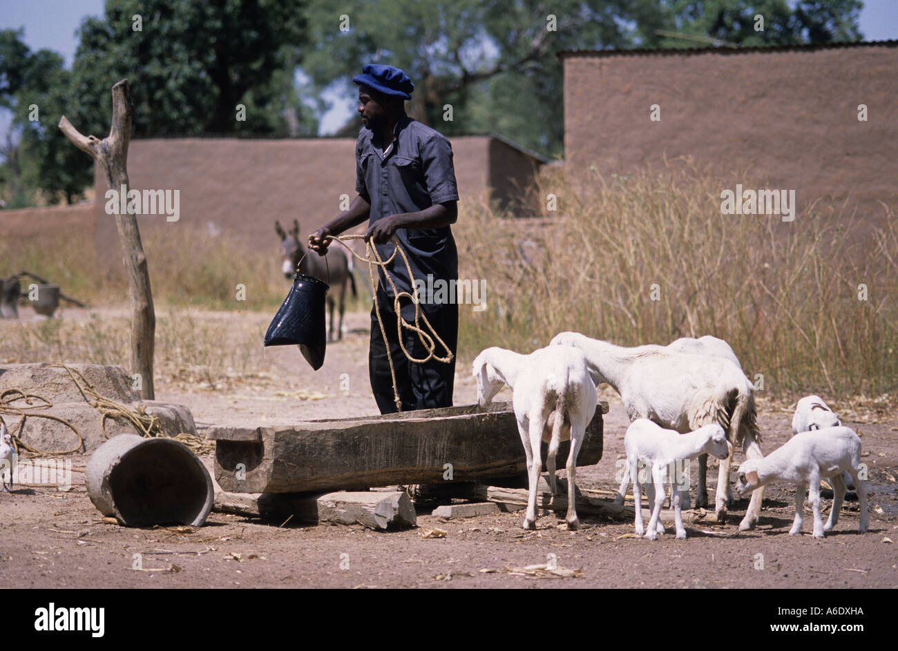 Salia village hi-res stock photography and images - Alamy