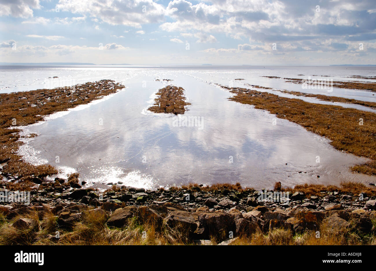 Tidal foreshore at the edge of Newport Wetlands National Nature Reserve ...