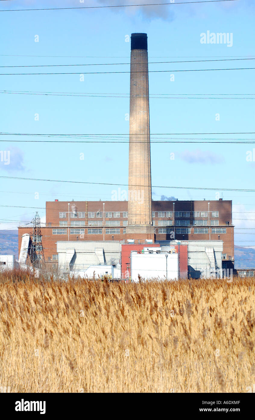 Reed beds at Newport Wetlands National Nature Reserve overlooked by Usk ...