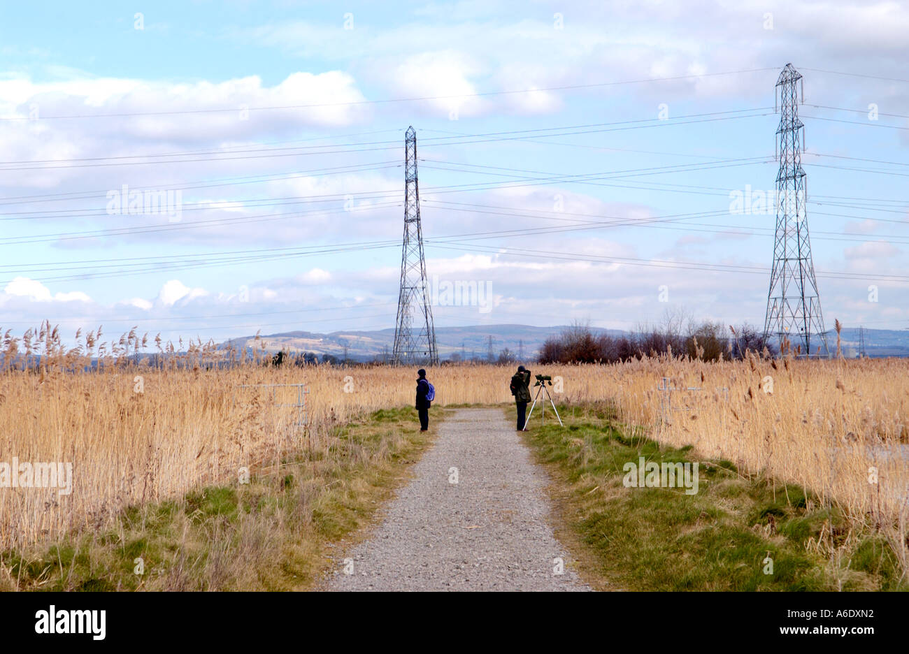 Footpath between reed beds at Newport Wetlands National Nature Reserve ...