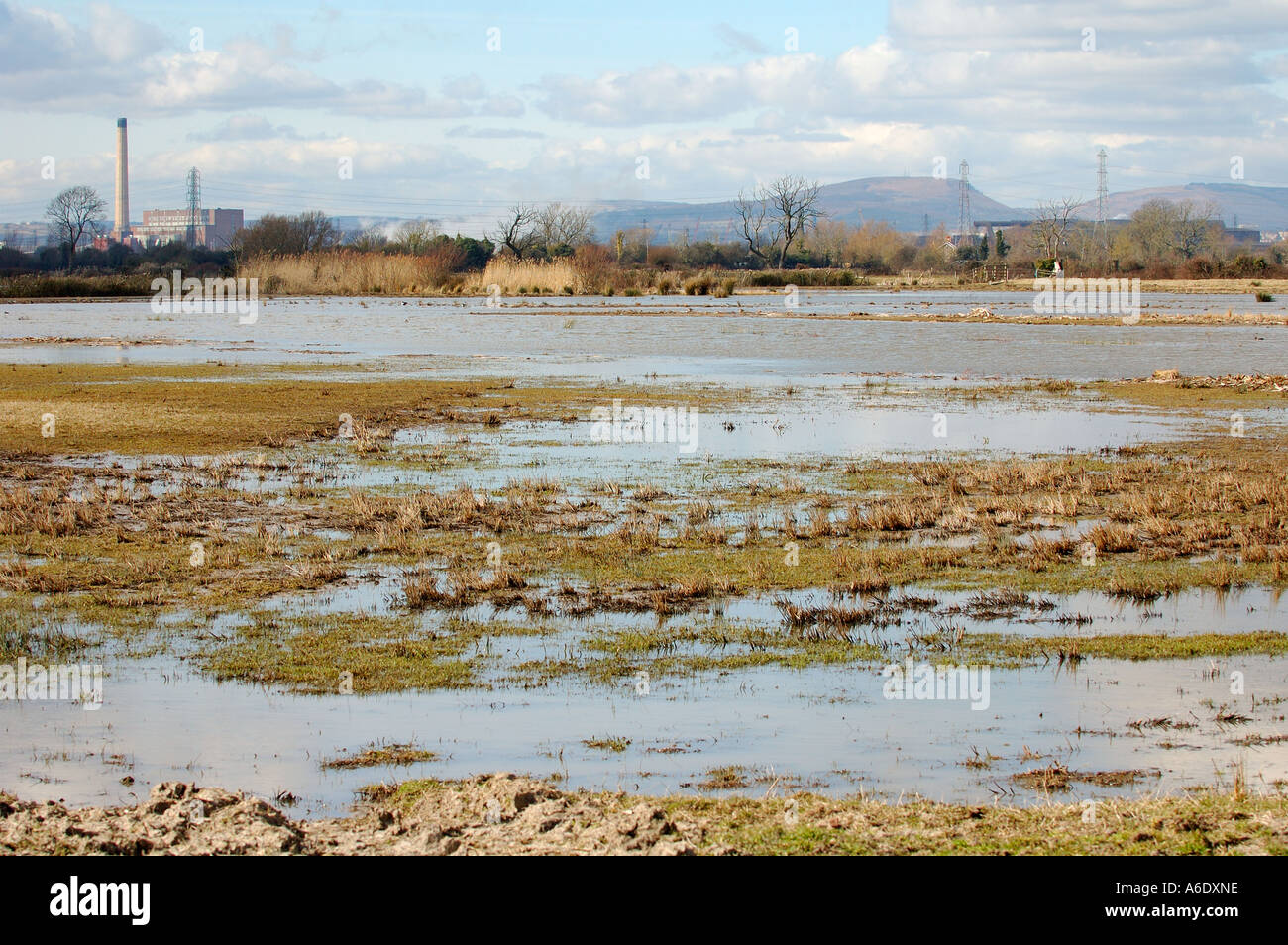 Water filled lagoon at Newport Wetlands National Nature Reserve South ...