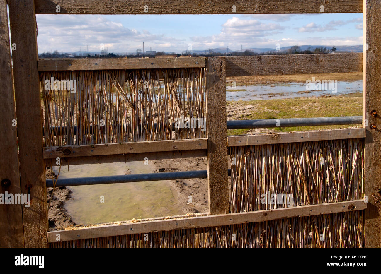 View through reed screen over lagoon at Newport Wetlands National ...