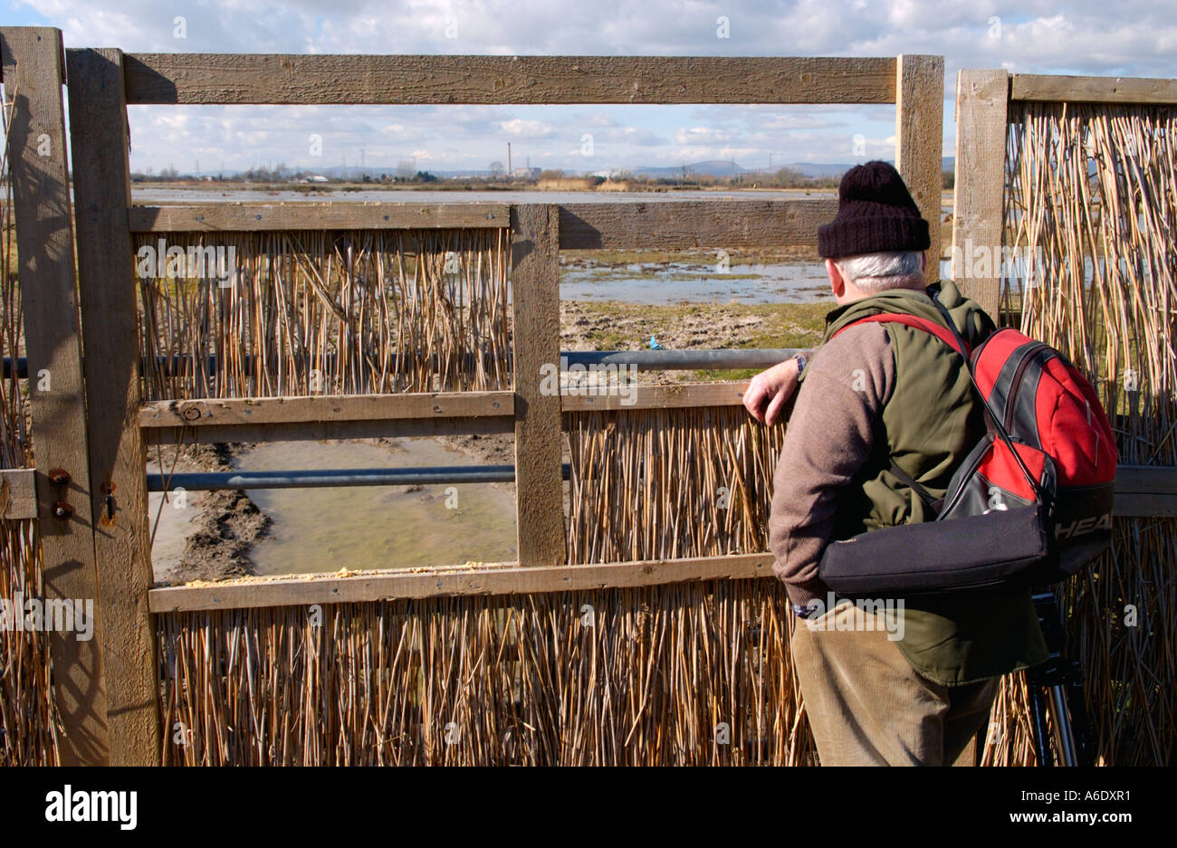 Birdwatcher twitcher in reed hide looking out over lagoon at Newport ...