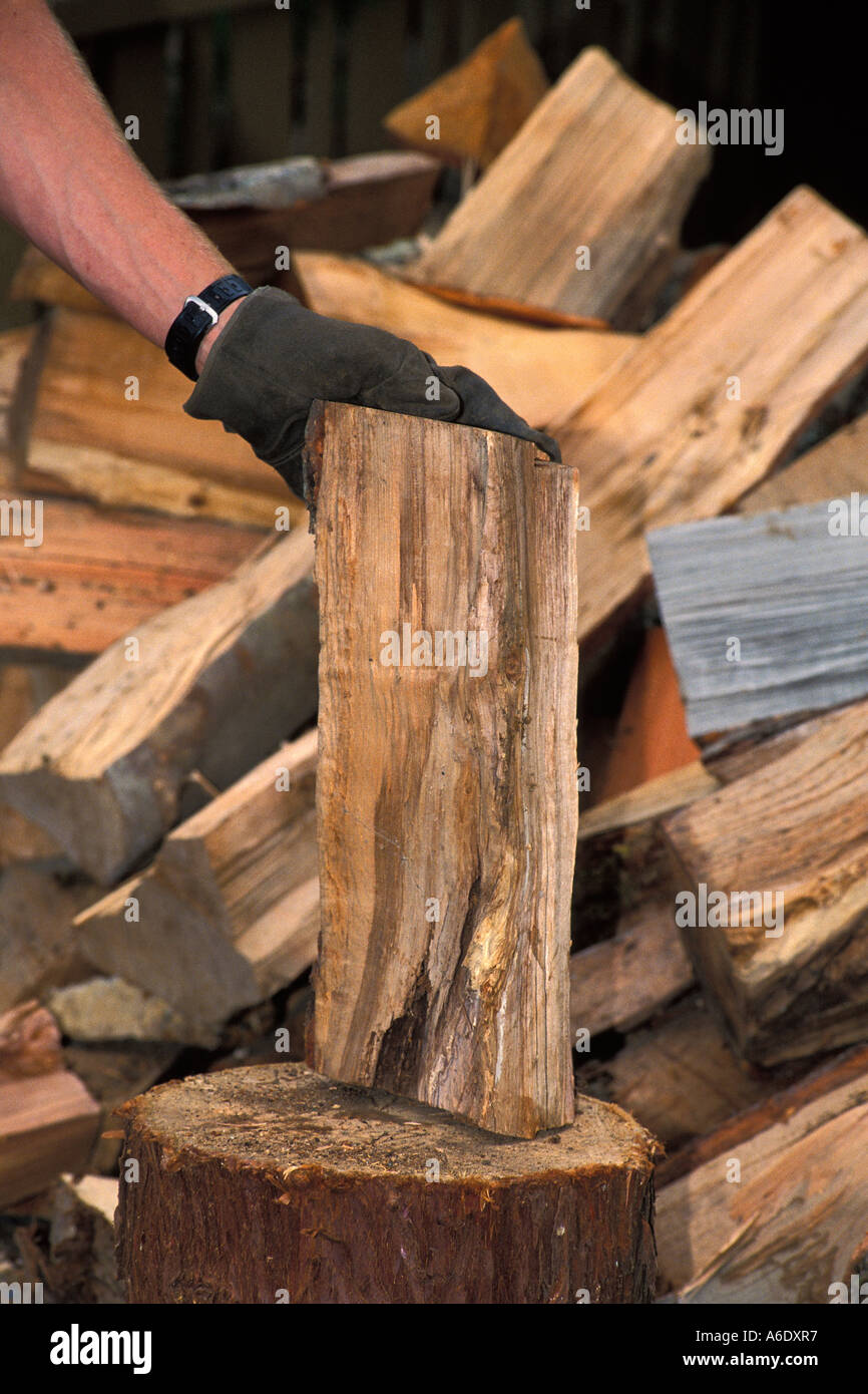 Man places log on chopping block with pile of split firewood behind ...