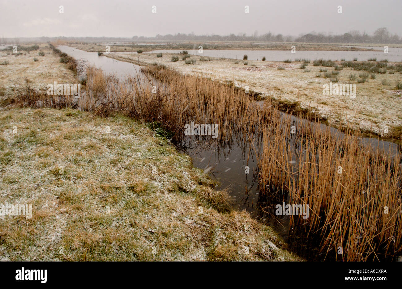 Reen drainage ditch at Newport Wetlands National Nature Reserve South ...