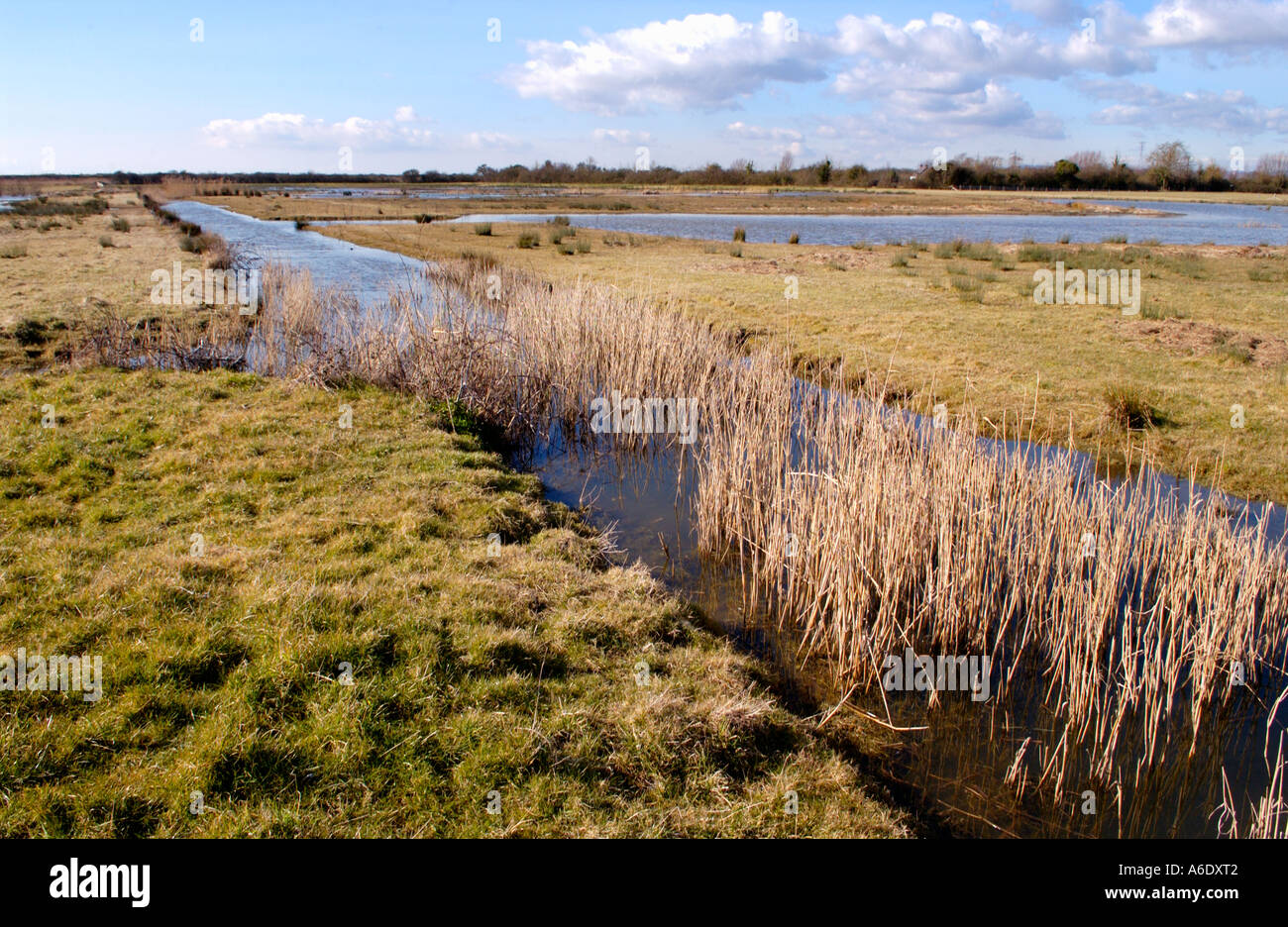 Reen drainage ditch at Newport Wetlands National Nature Reserve South ...
