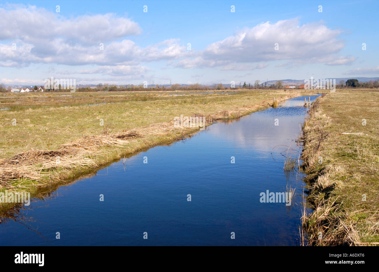 Reen drainage ditch at Newport Wetlands National Nature Reserve South ...