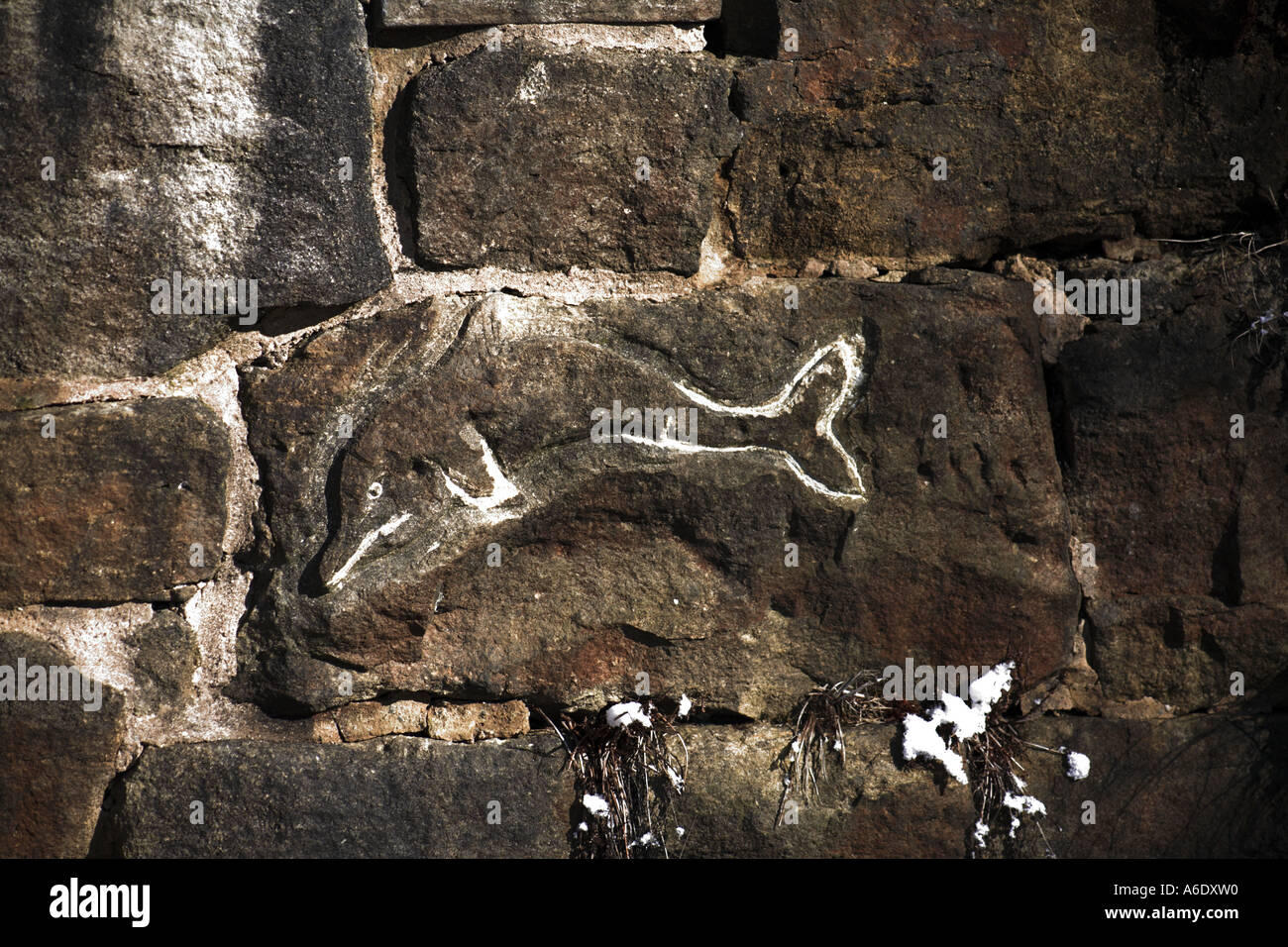 Dolphin carved into the stone facade of Cheesden Lumb Lower Mill ...