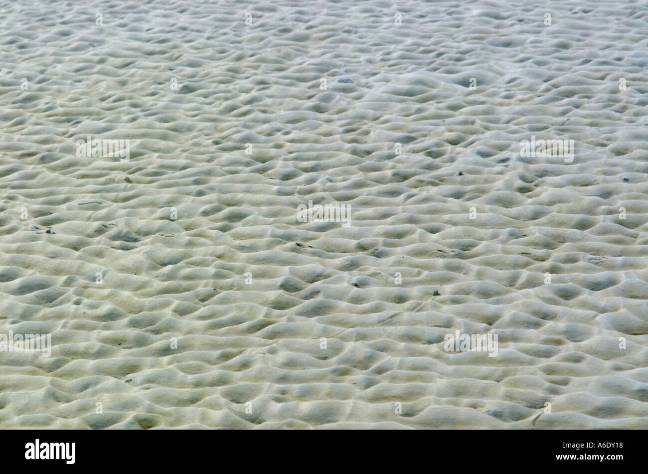Exposed Sand Bar High Resolution Stock Photography and Images - Alamy