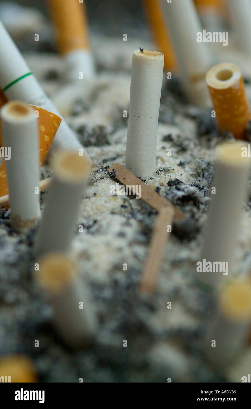 cigarette butts in ashtray smoking bad habit social smoke dirty ...