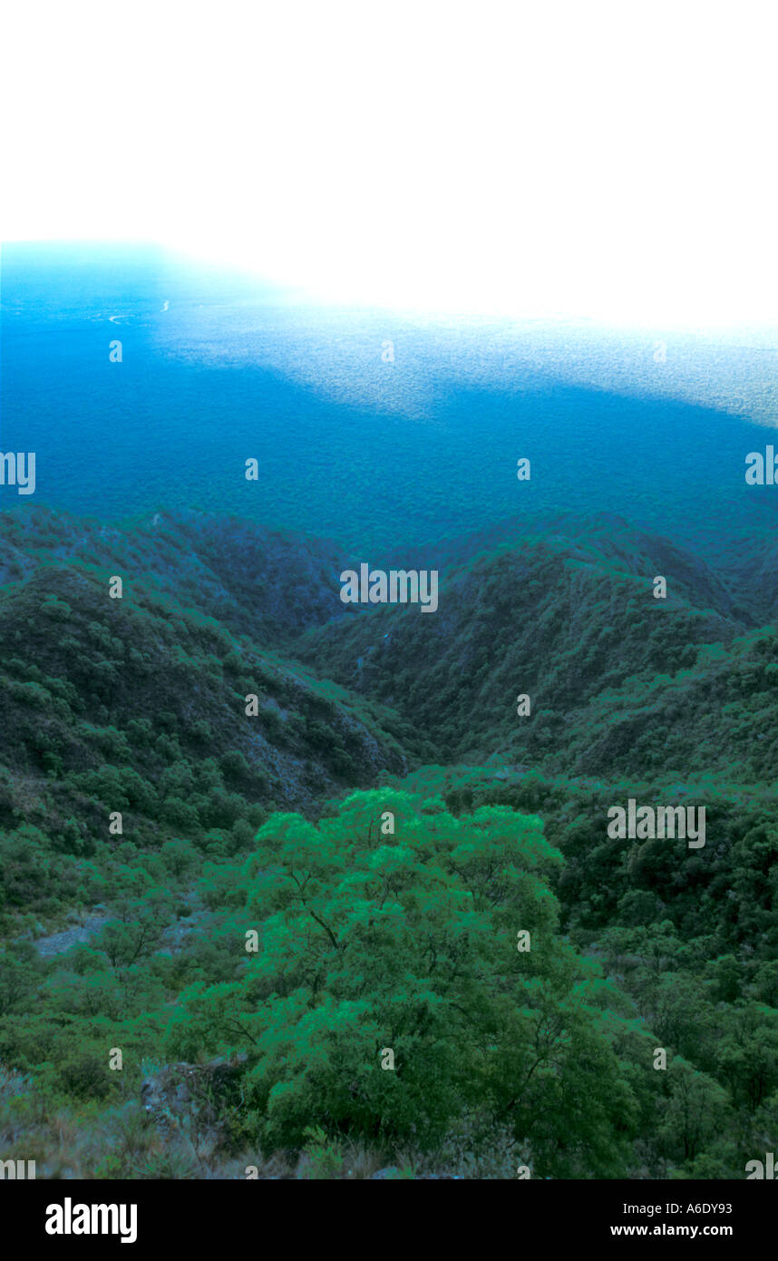 Quebracho tree hi-res stock photography and images - Alamy