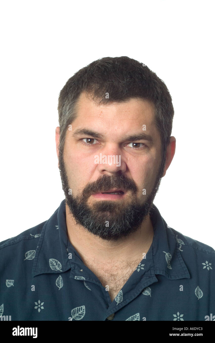 faces expression looking into at camera beard hairy man confused ...
