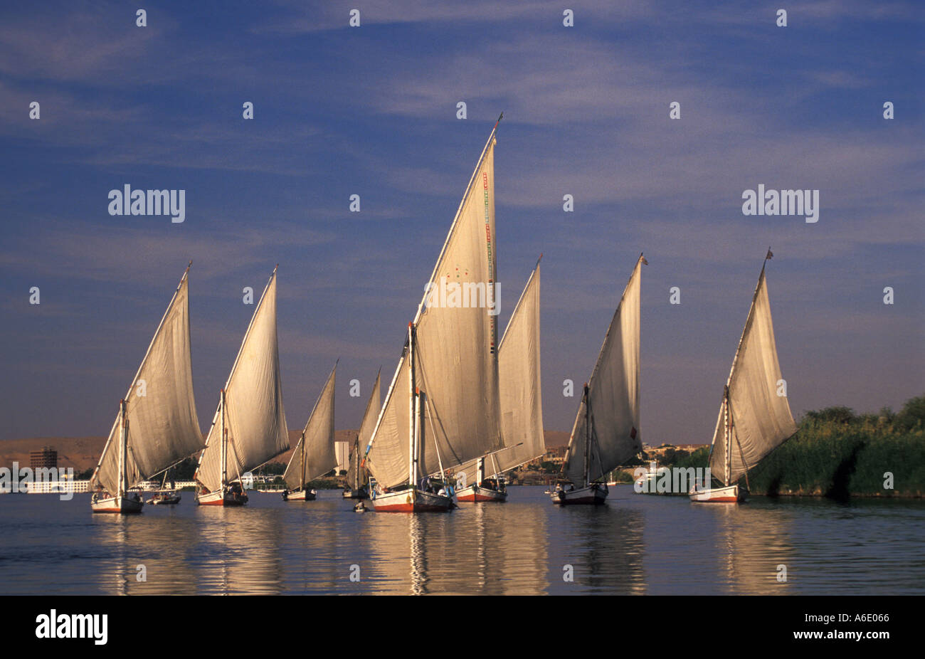 Feluccas on the River Nile, Egypt Stock Photo - Alamy