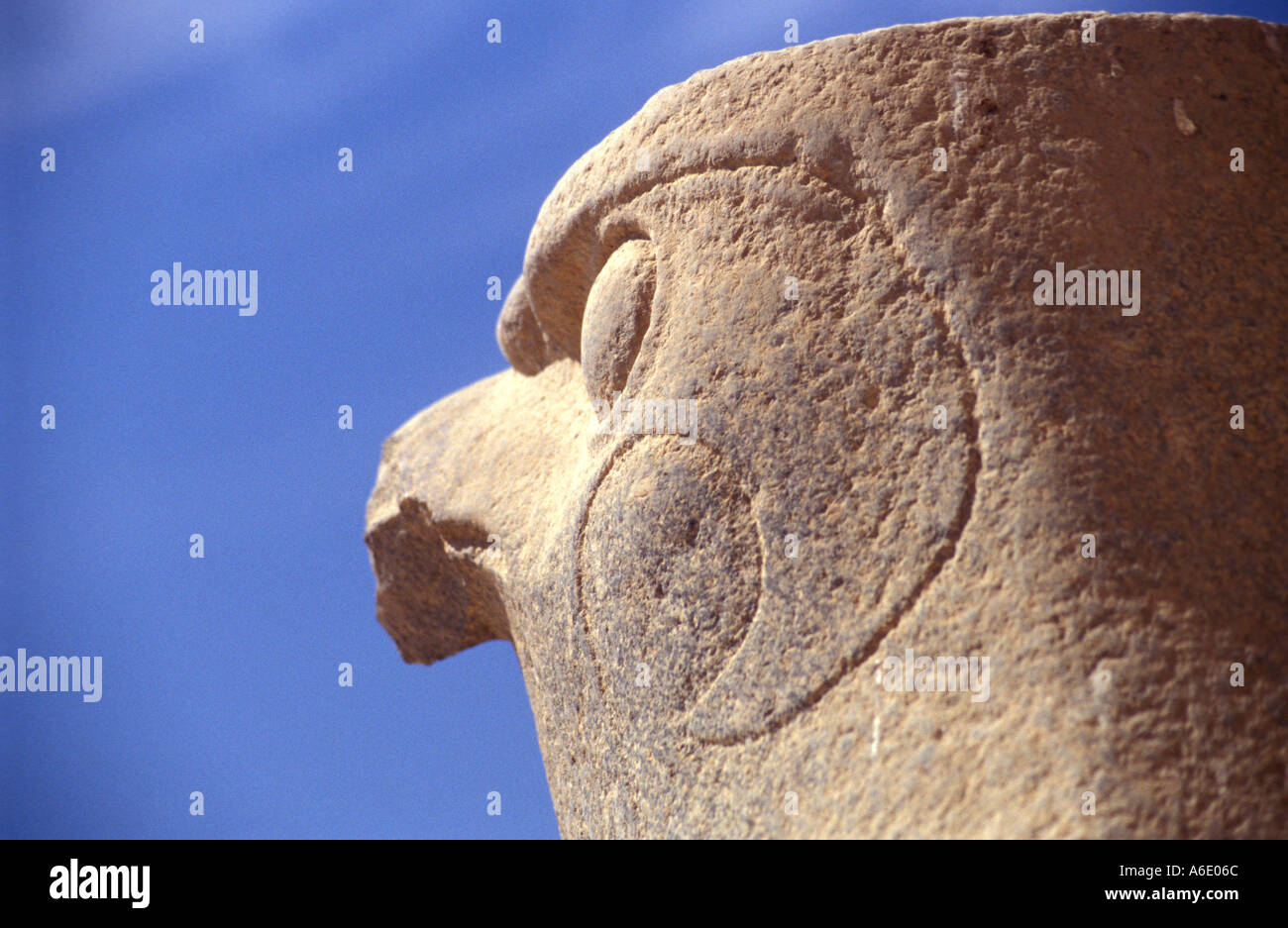 Statue of Horus (Falcon) in Edfu Temple, Egypt Stock Photo - Alamy