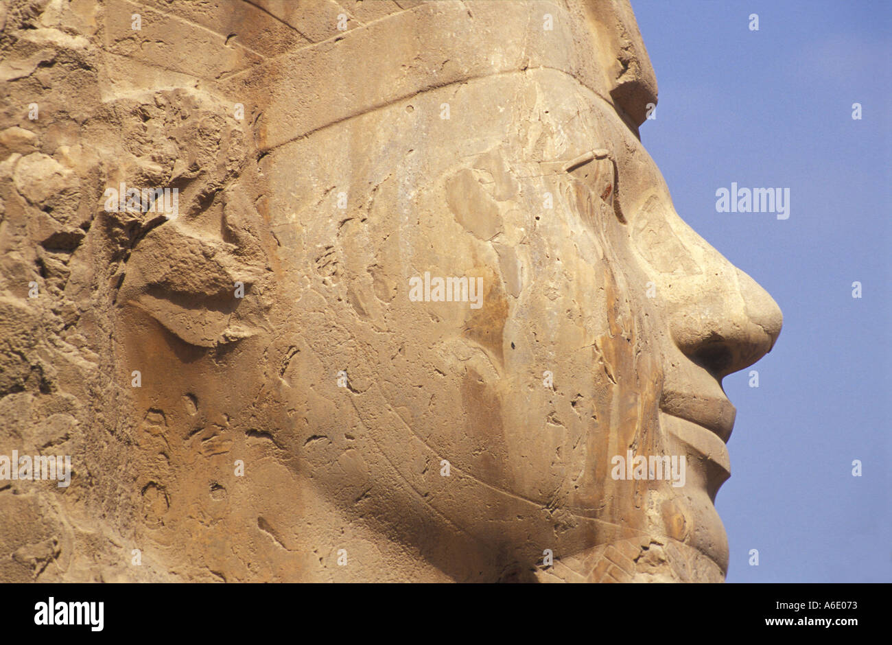 Statue of Pharaoh Ramses II in Memphis, Egypt Stock Photo - Alamy