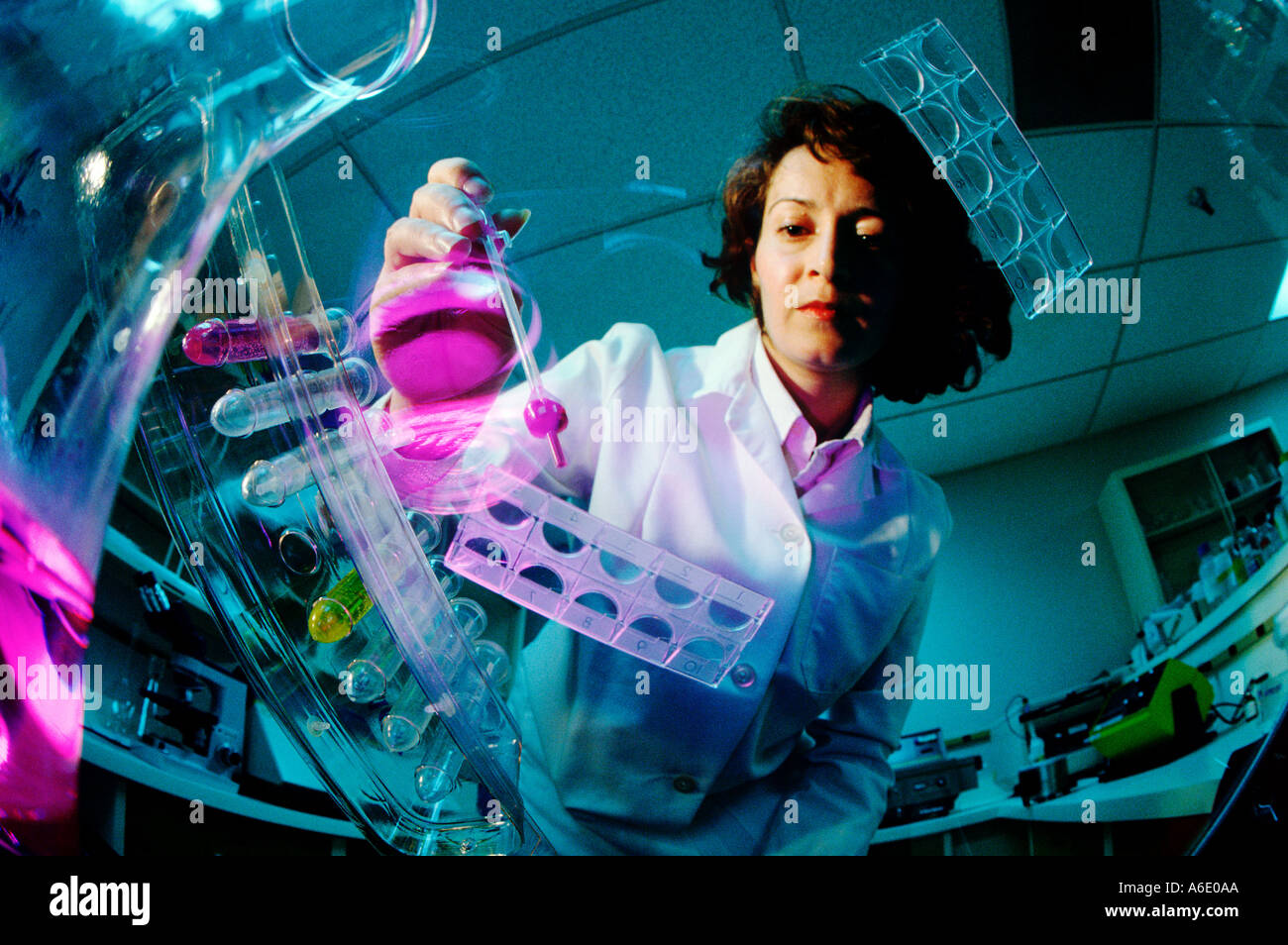 Female lab tech works on blood sample with testing equipment Stock ...