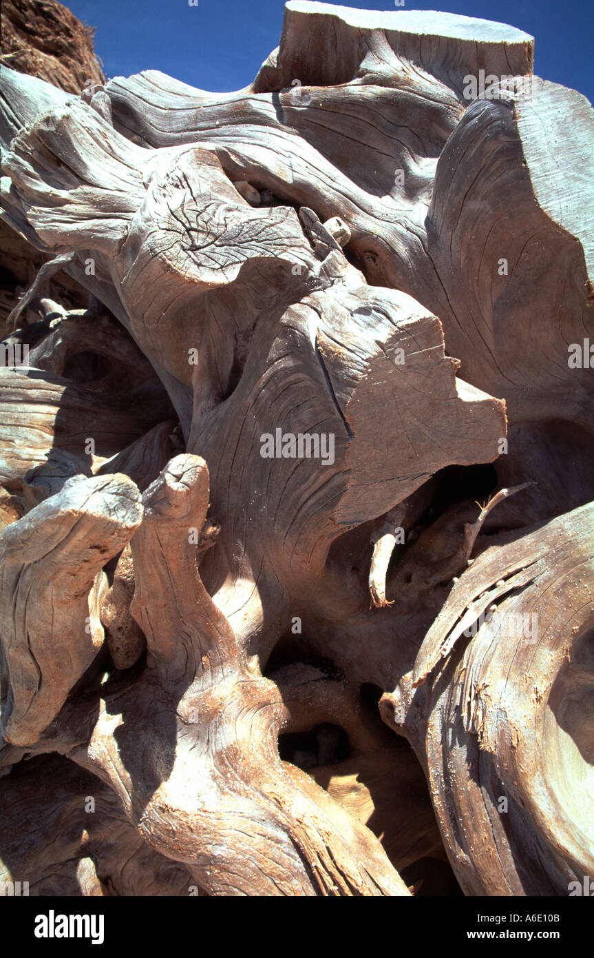 Log washed up on beach in the Marshall Islands Stock Photo - Alamy