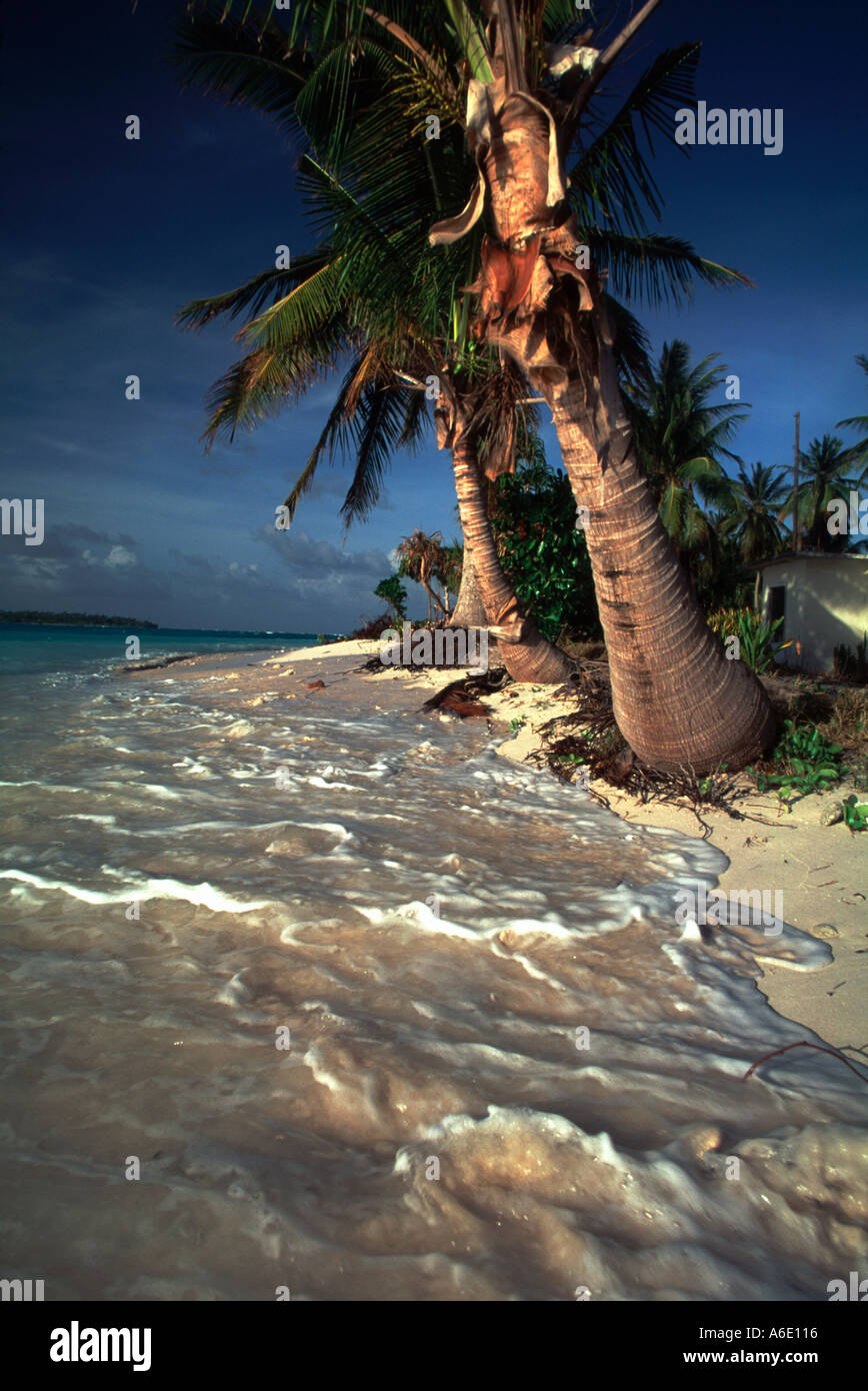 Beach and palm trees on the atoll of Likiep Marshall Islands which is ...