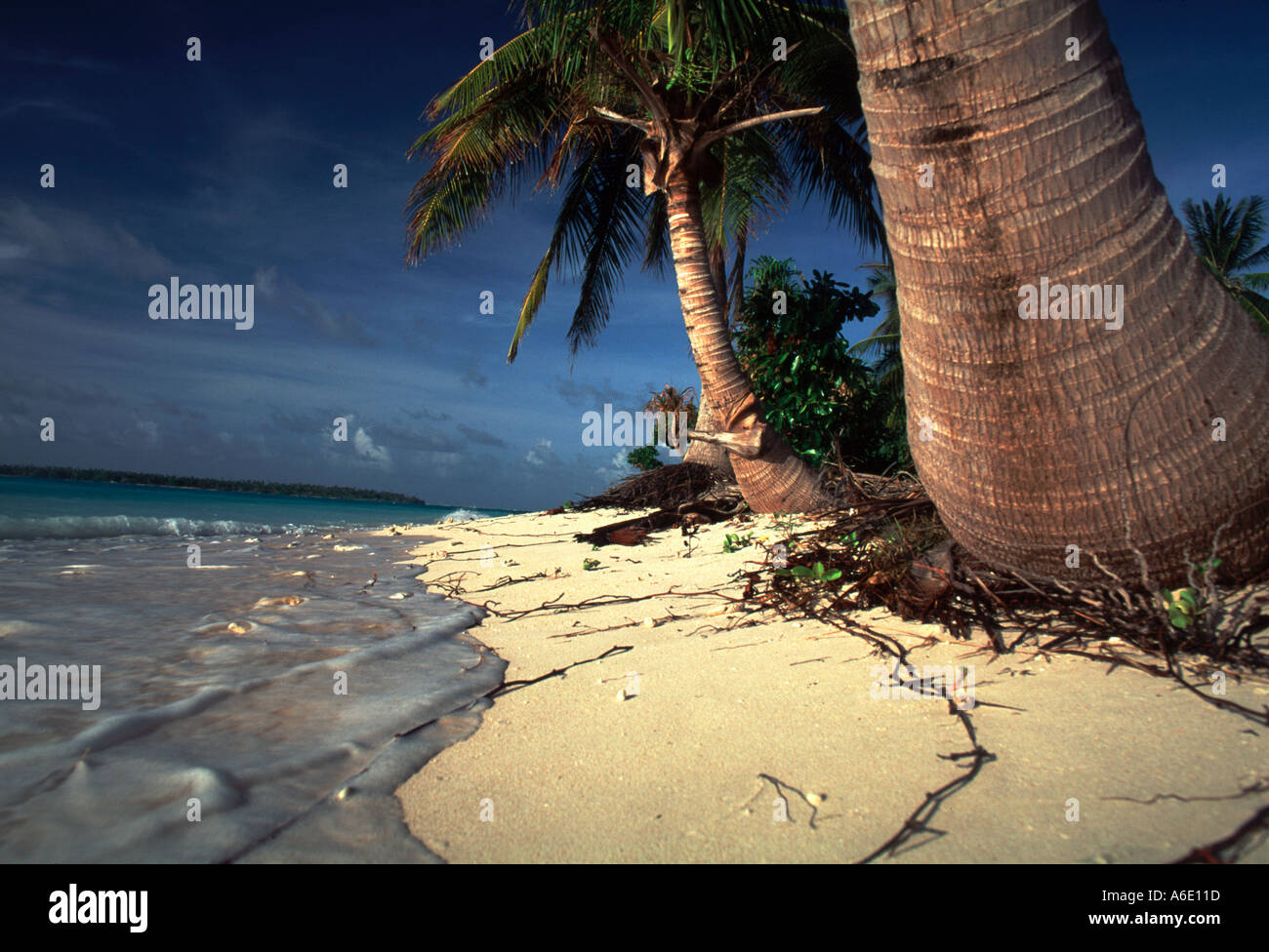 Beach and palm trees on the atoll of Likiep Marshall Islands which is ...