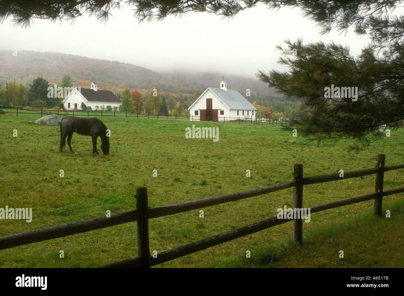 Fall foliage in warren vt hi-res stock photography and images - Alamy