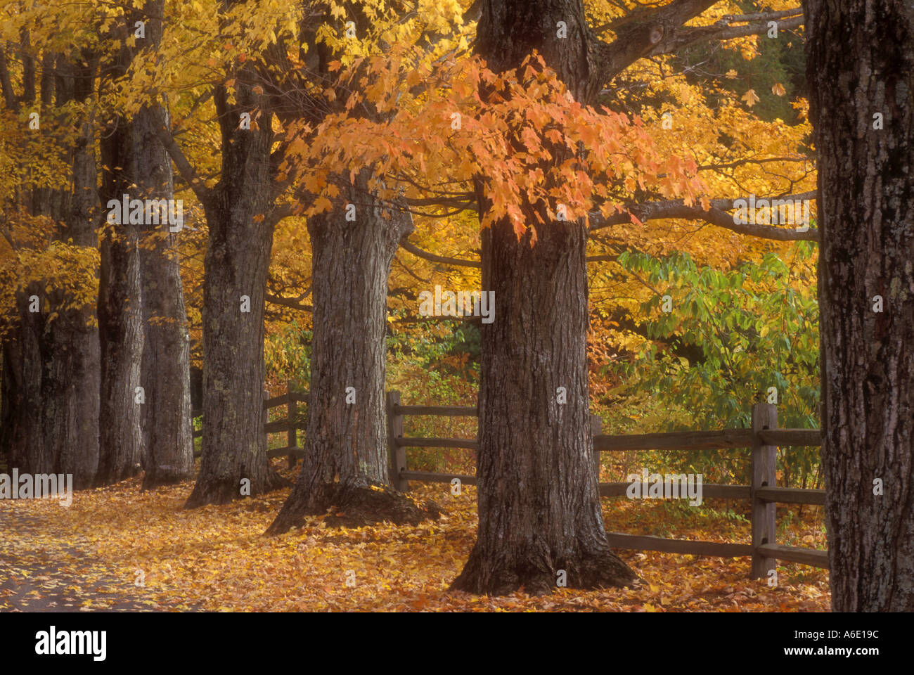 Royalton road hi-res stock photography and images - Alamy