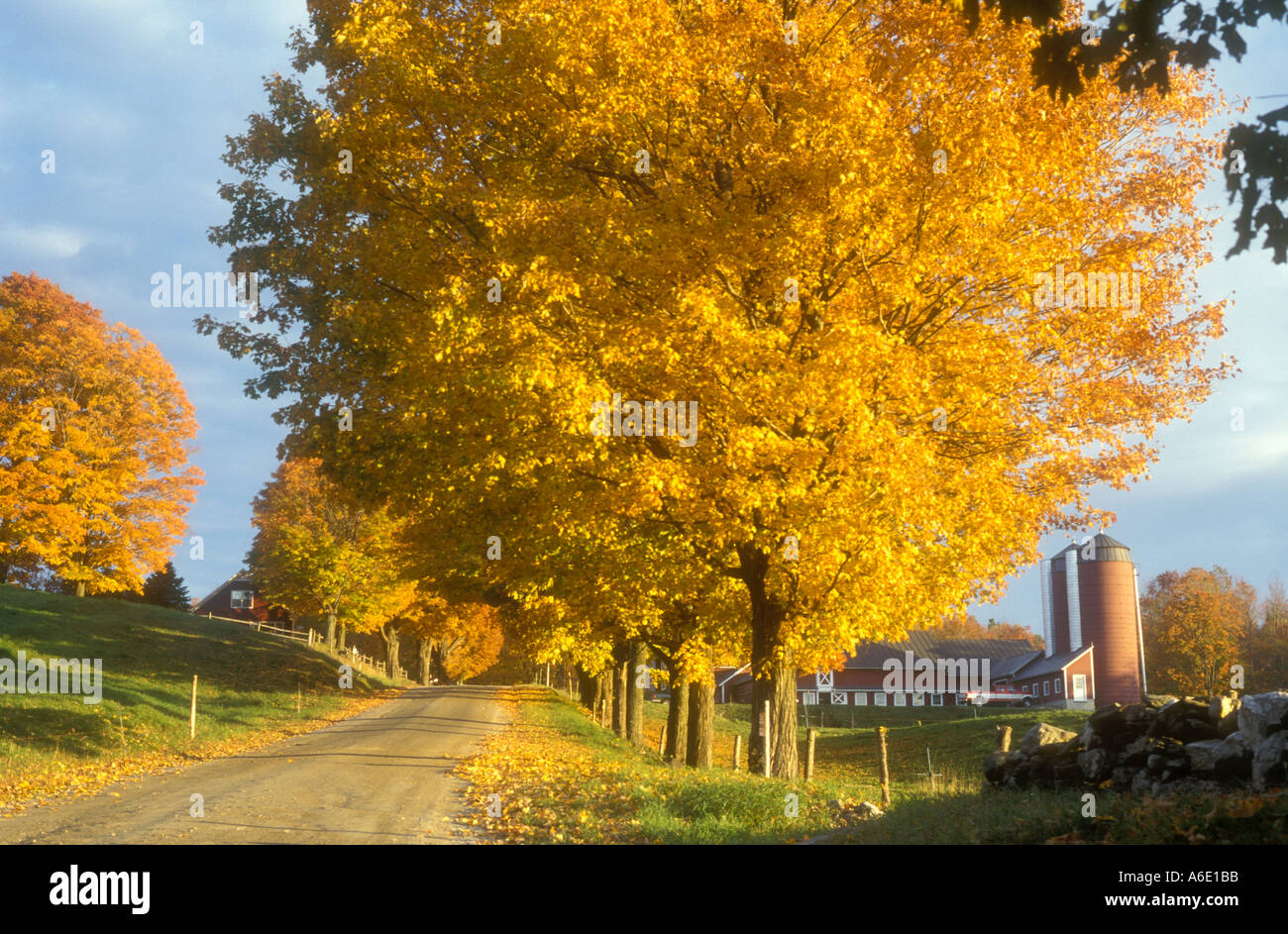 Colorful autumn farm reading vermont hi-res stock photography and ...