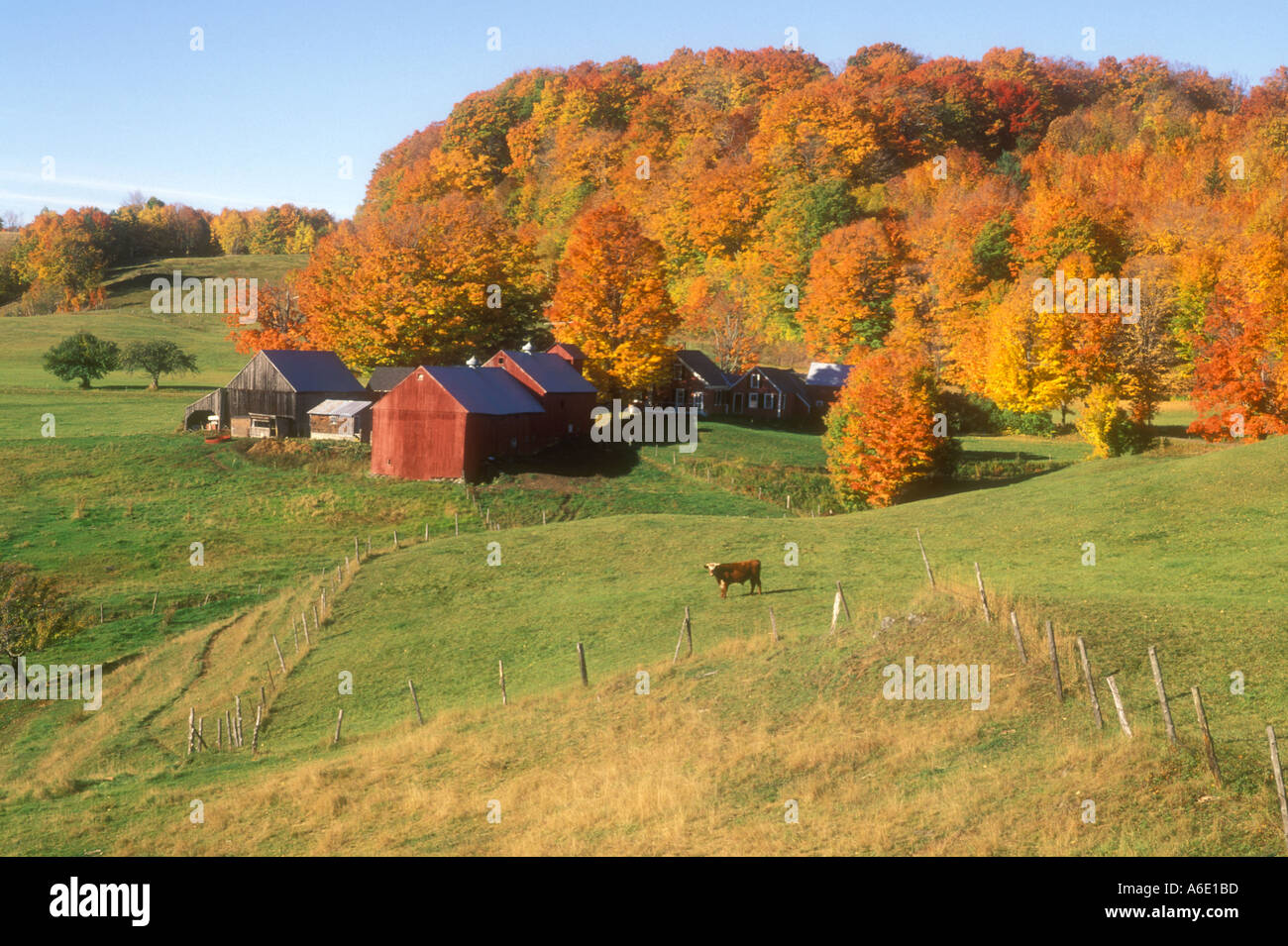 Colorful autumn farm reading vermont hi-res stock photography and ...