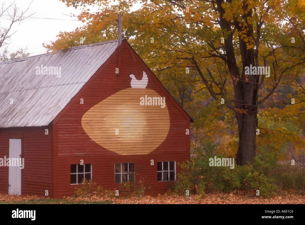Springfield farm hi-res stock photography and images - Alamy