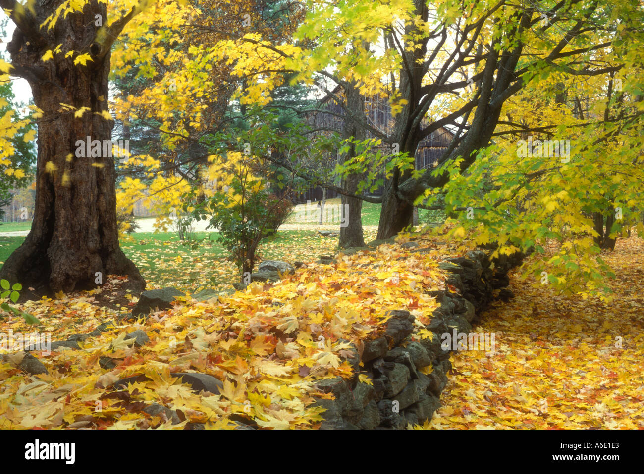 Middletown springs hi-res stock photography and images - Alamy