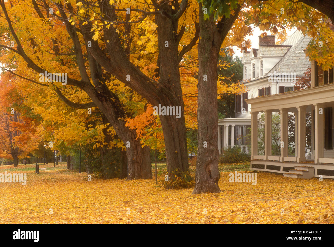 Manchester village vermont hi-res stock photography and images - Alamy