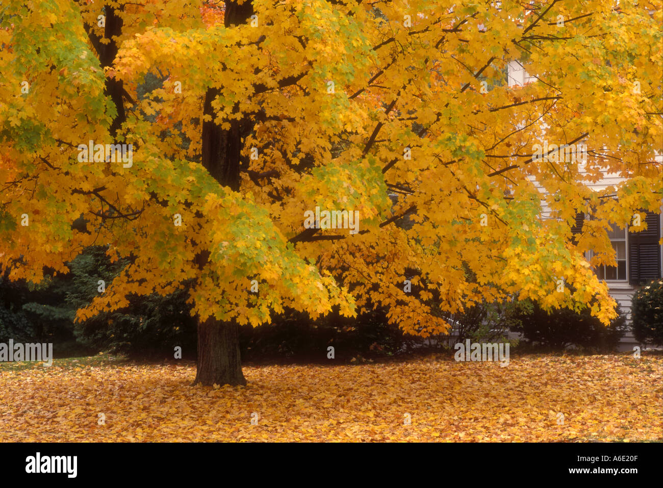 Bennington county vermont hi-res stock photography and images - Alamy