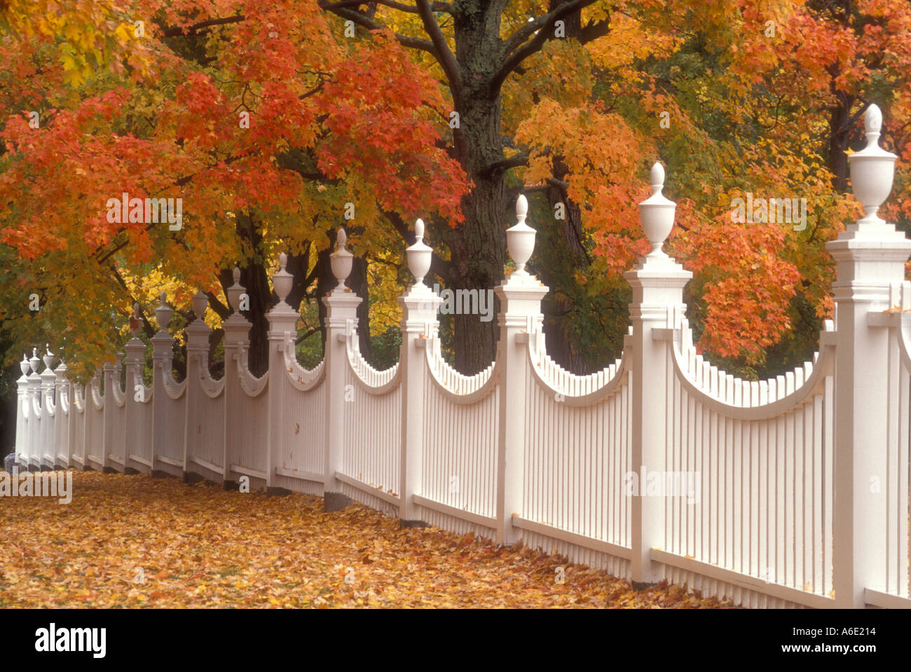 Beautiful fence pictures hi-res stock photography and images - Alamy