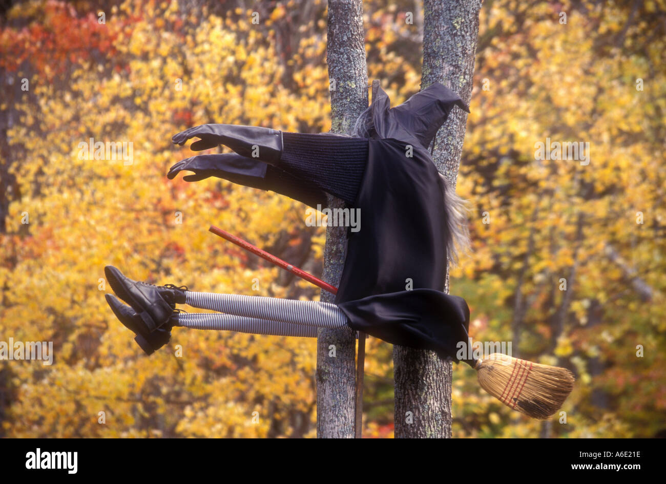 New england witch hi-res stock photography and images - Alamy