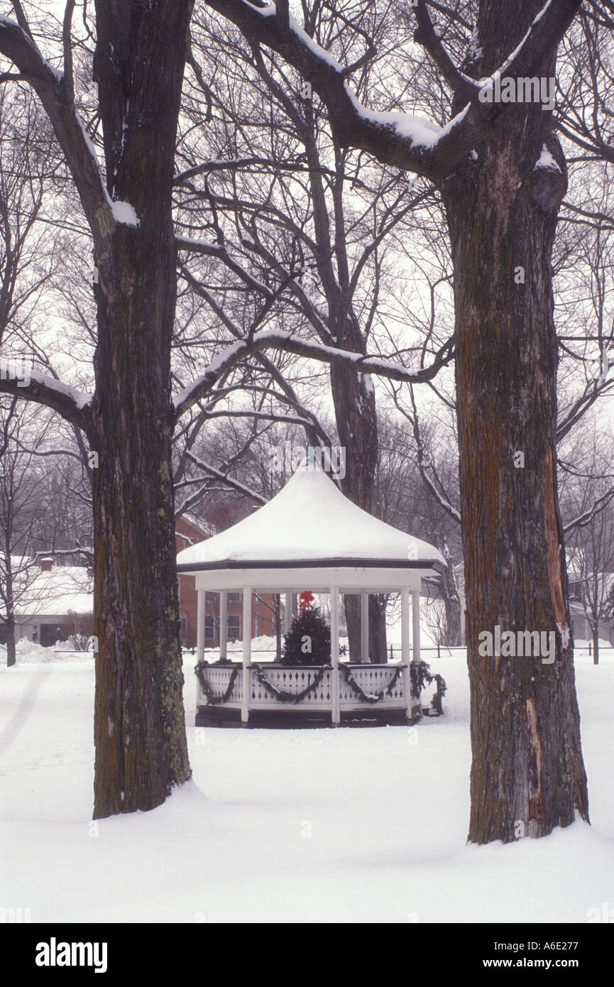 Evergreen trees in vermont hi-res stock photography and images - Alamy