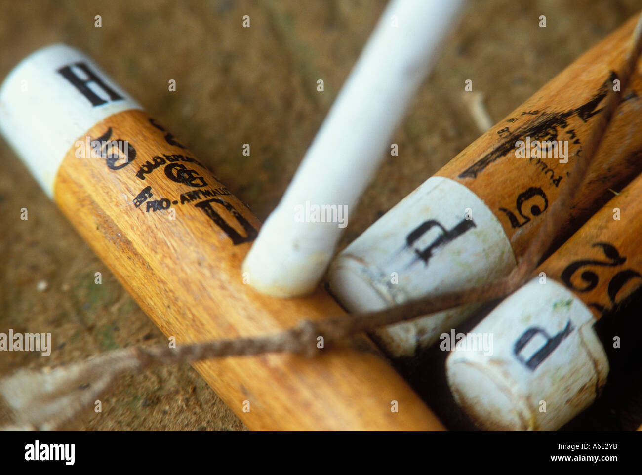 Polo and mallets hi-res stock photography and images - Alamy