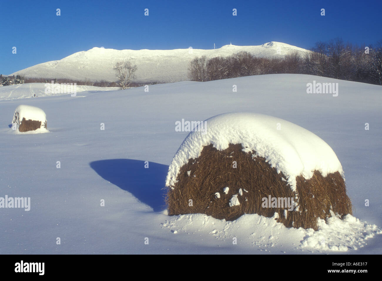 Vermont field and lake hi-res stock photography and images - Alamy