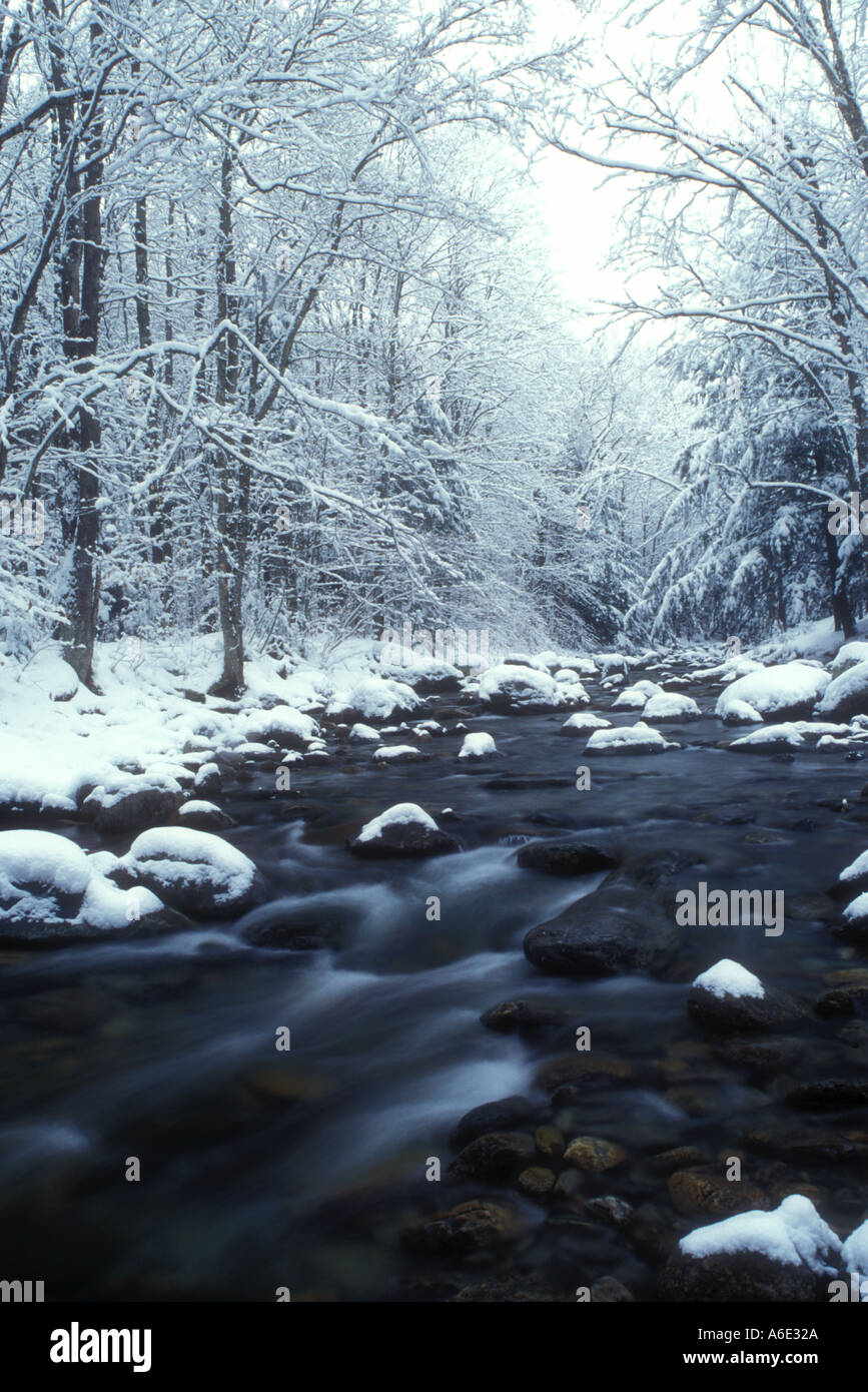 Green mountain national forest, vermont hi-res stock photography and ...