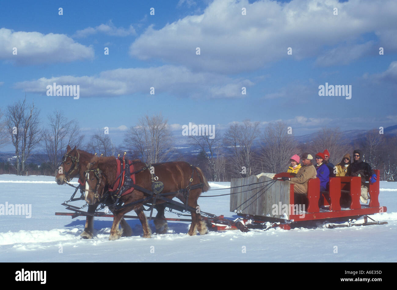 Winter snow team horses hi-res stock photography and images - Alamy