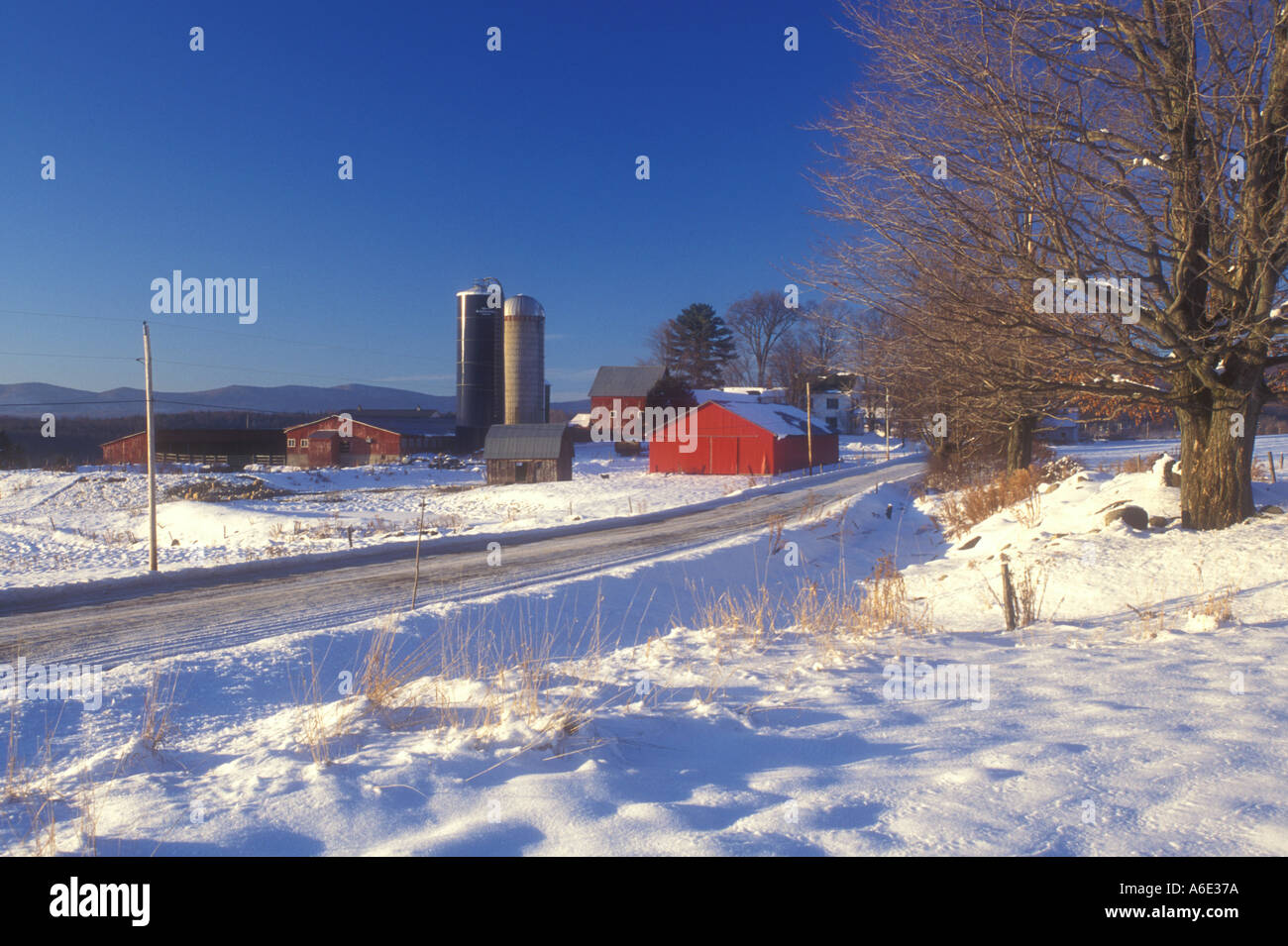 Albany south hi-res stock photography and images - Alamy