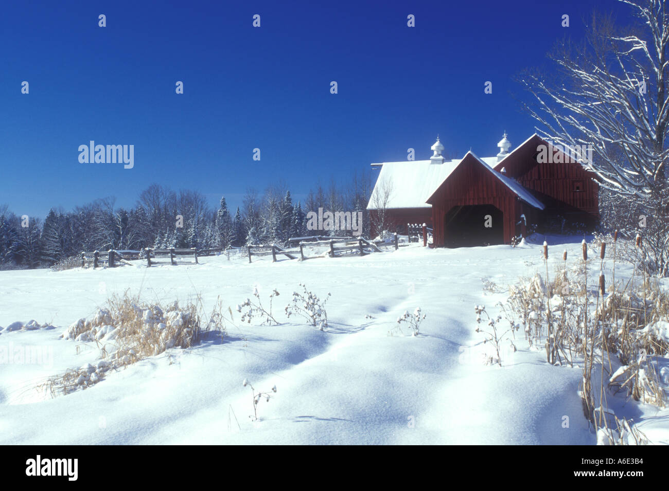 Marshfield farm hi-res stock photography and images - Alamy