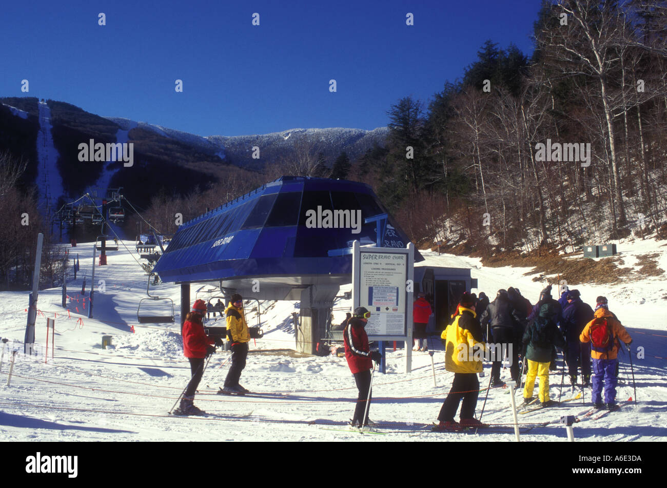 Free warren hi-res stock photography and images - Alamy