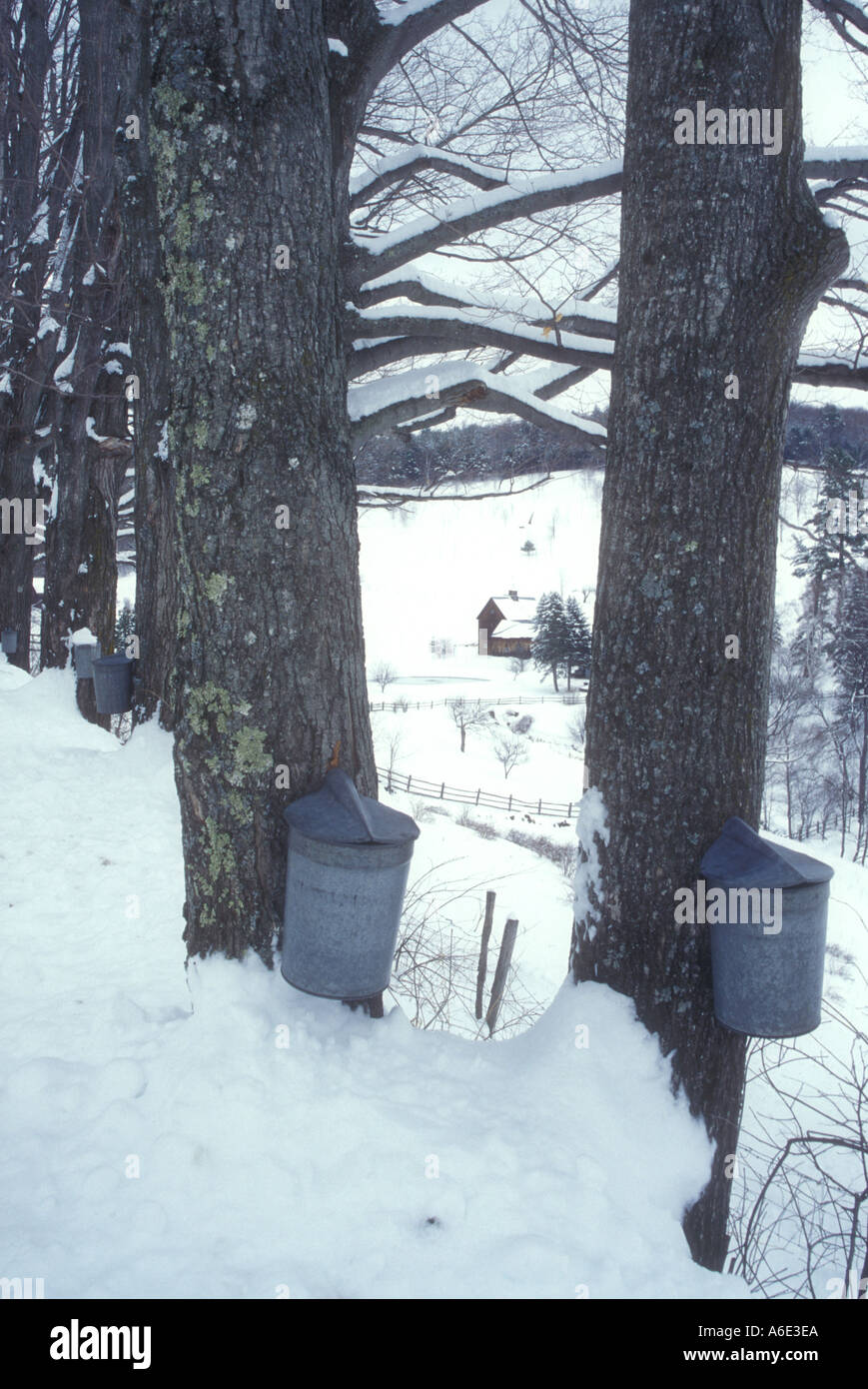Spring time in vermont hi-res stock photography and images - Alamy