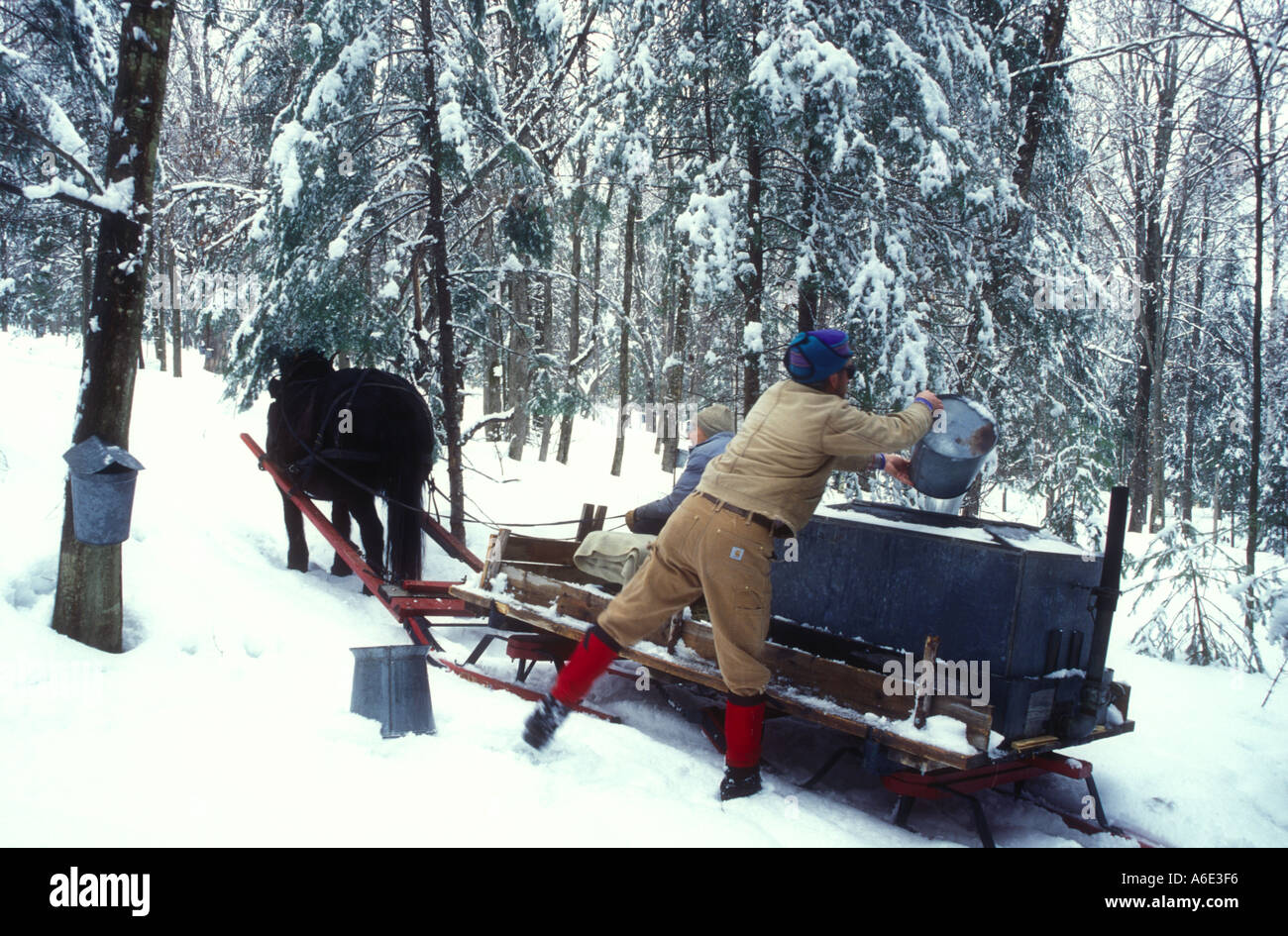 Cabot vt hi-res stock photography and images - Alamy