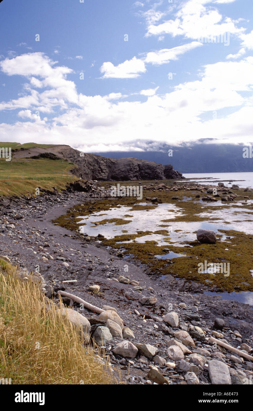 AJ6308, Newfoundland, NF, Canada Stock Photo - Alamy