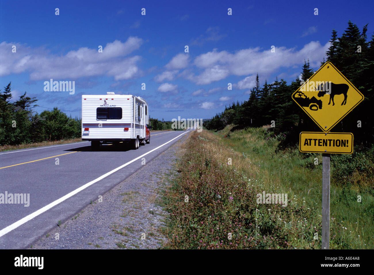 Newfoundland moose road sign hi-res stock photography and images - Alamy