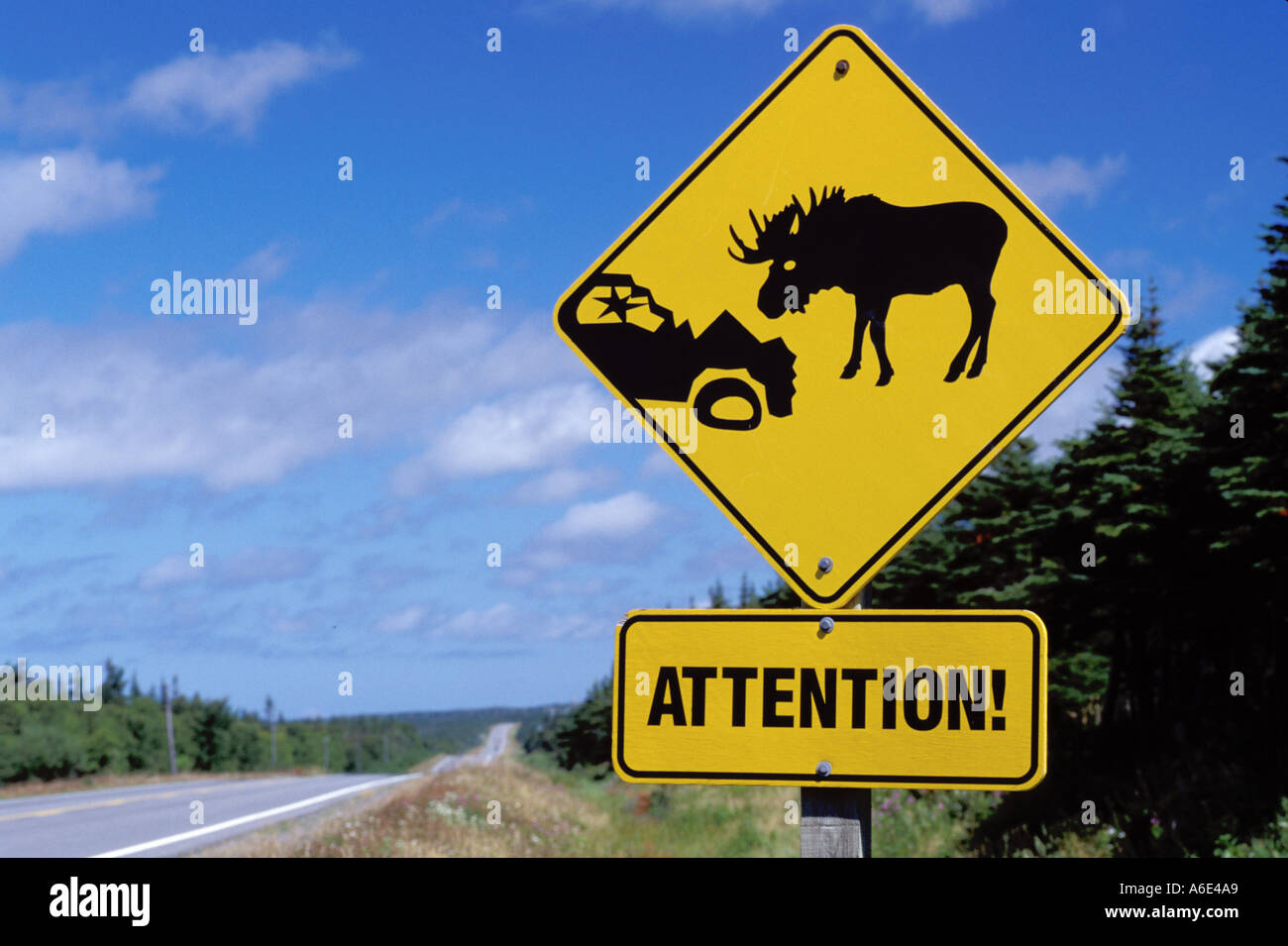 Newfoundland moose road sign hi-res stock photography and images - Alamy