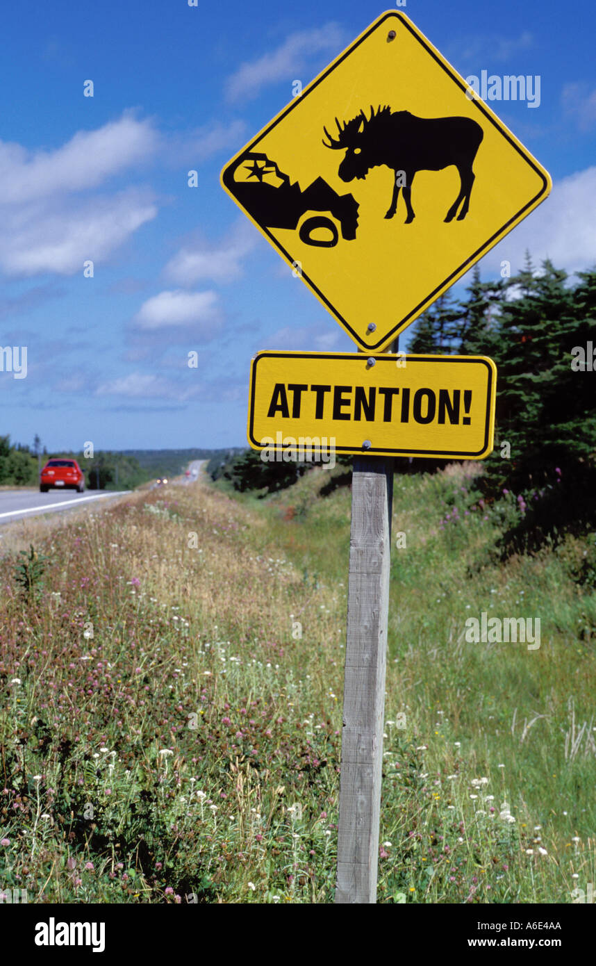 Newfoundland moose road sign hi-res stock photography and images - Alamy