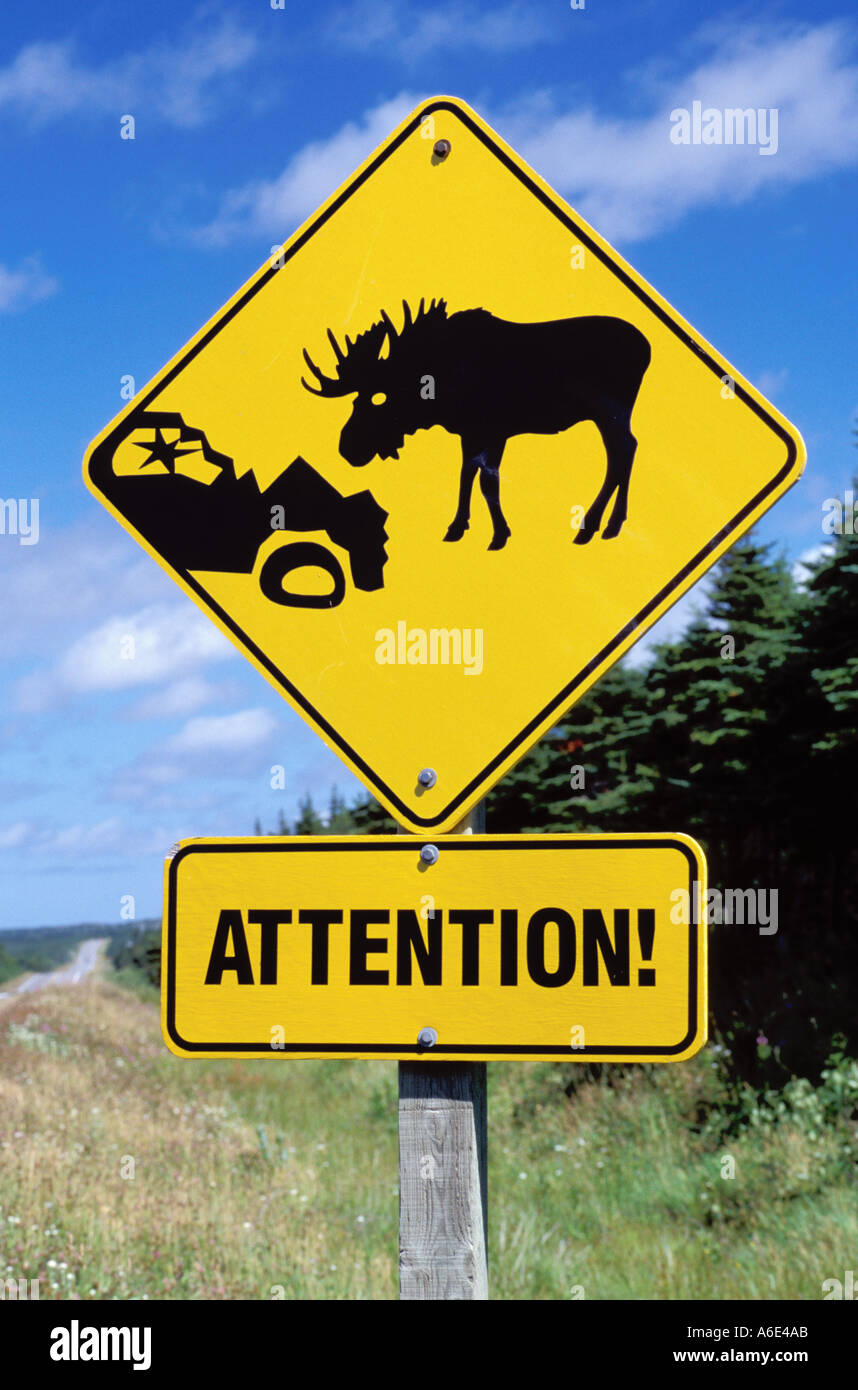 Newfoundland moose road sign hi-res stock photography and images - Alamy