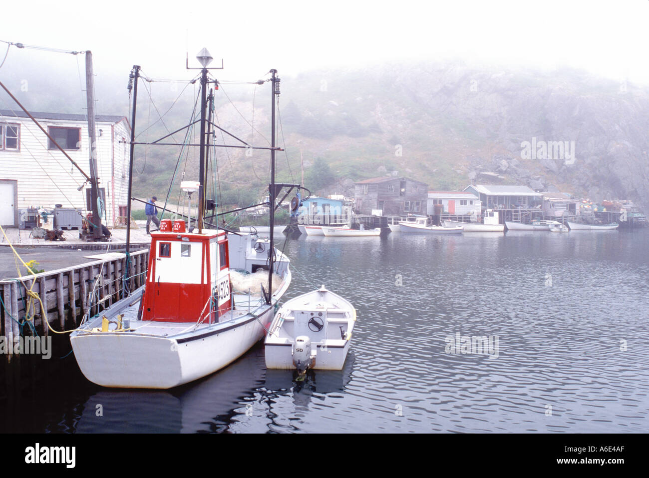 AJ6368, Newfoundland, NF, St. John's, Canada Stock Photo - Alamy
