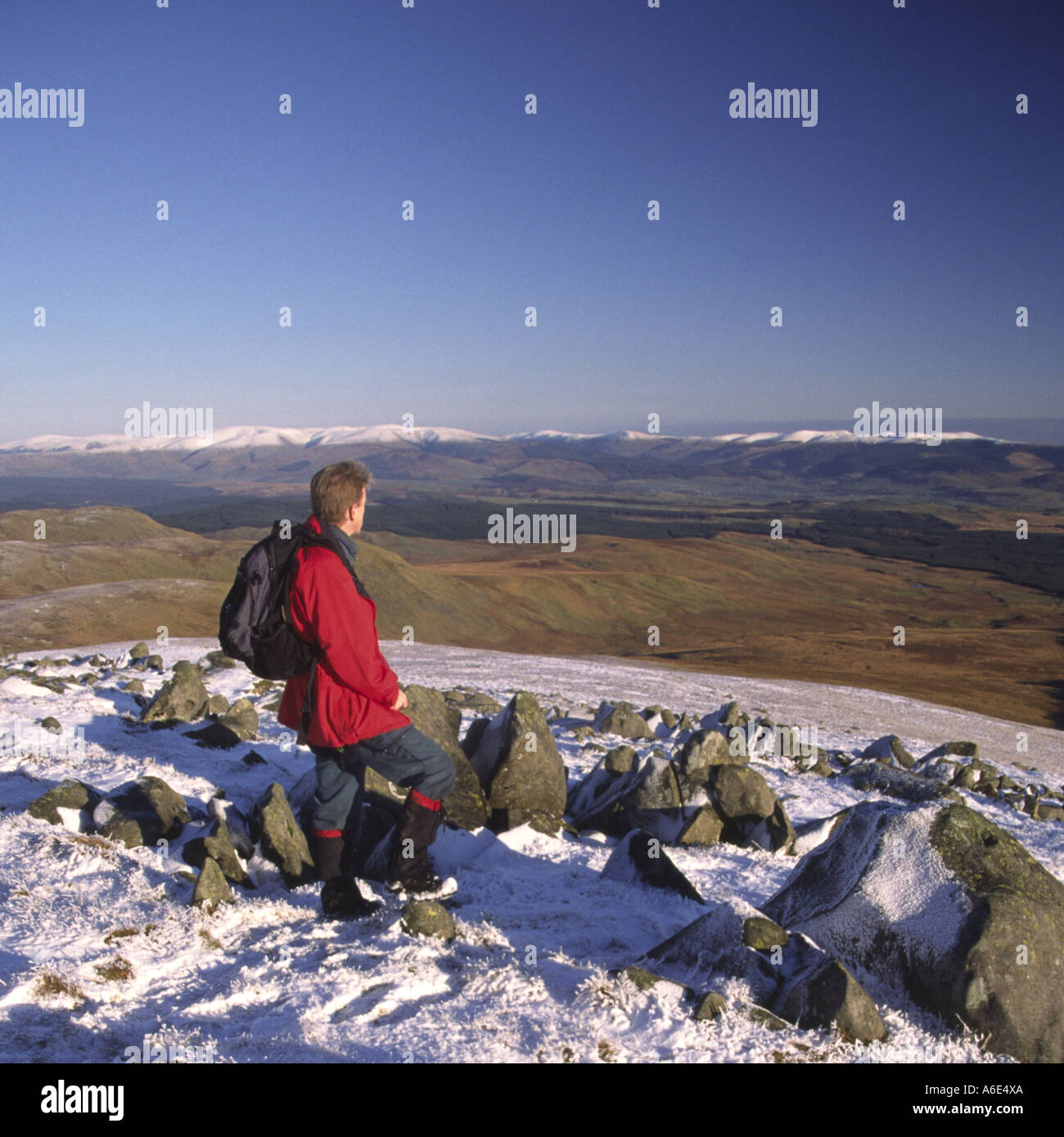 Hill walker in Lowther Hills Scotland Stock Photo - Alamy